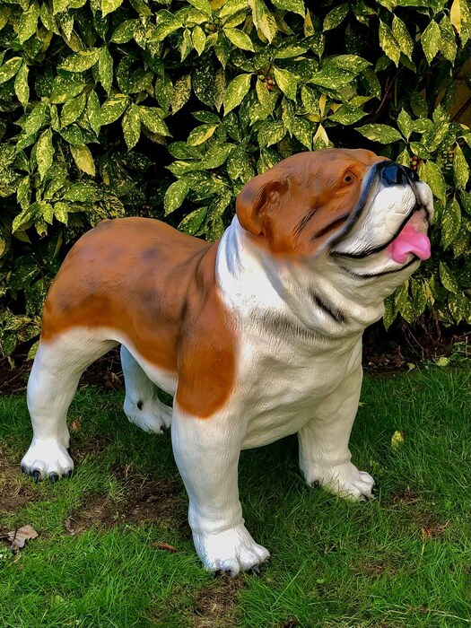 Engelse buldog groot origineel 74 cm hoog