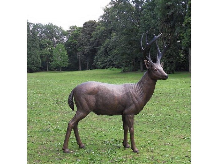 Hert jong staand 135 cm hoog bronzen beeld