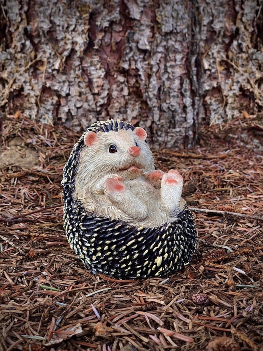Egel op rug liggend L 10.6 cm hoog